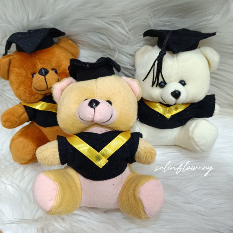 Jual Boneka Wisuda Toga / Boneka Graduation | Shopee Indonesia