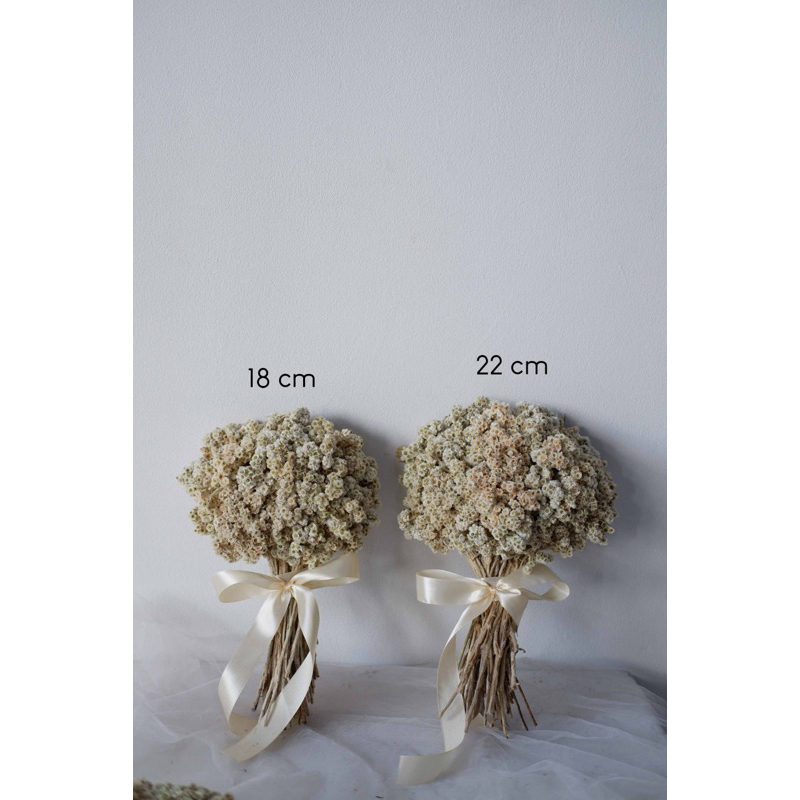 Jual Edelweiss | Hand Bouquet Small - Buket bunga kering edelweiss ...