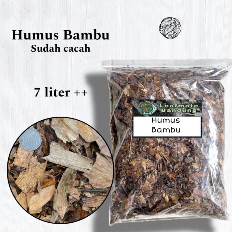 Jual Humus Daun Bambu Fermentasi Alami - 7 liter Kemasan 5kg Sudah ...