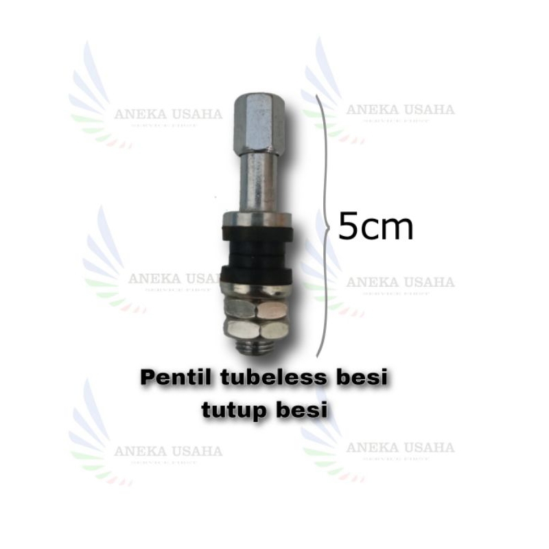 Jual Pentil ban tubeless besi tutup besi | Shopee Indonesia