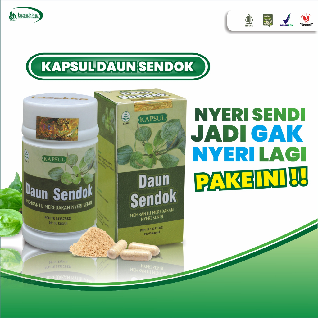 Jual Kapsul Daun Sendok Herbal Tazakka Pengolahan ekstrak Daun Sendok ...