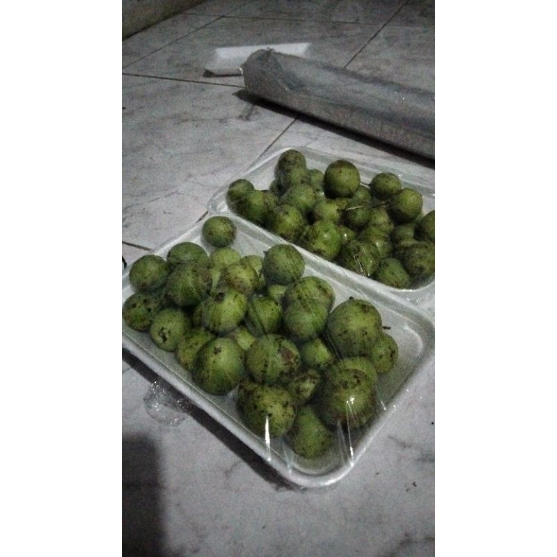 Jual BUAH GANDARIA JATAKE seger 500 gram | Shopee Indonesia