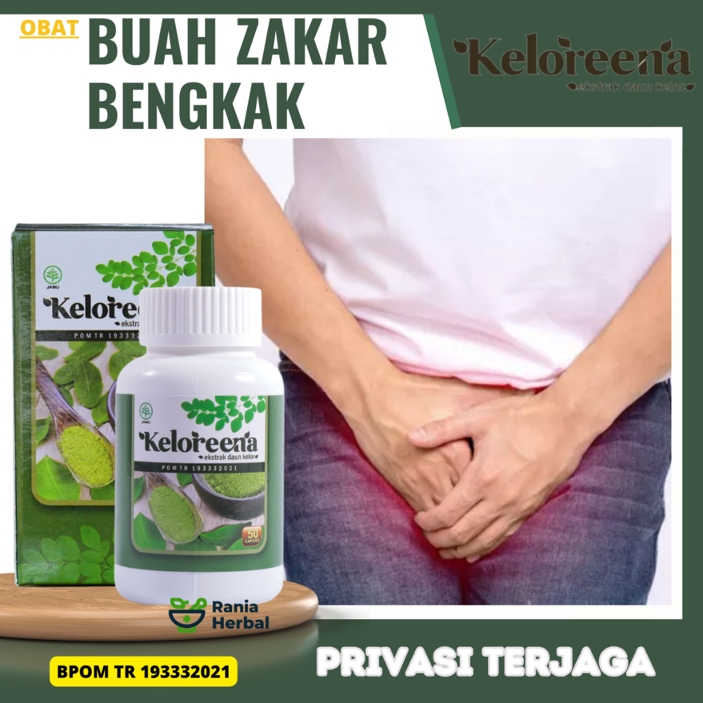 Jual Obat Buah Zakar Bengkak, Obat Varikokel, Obat Benjolan Di Kantong ...