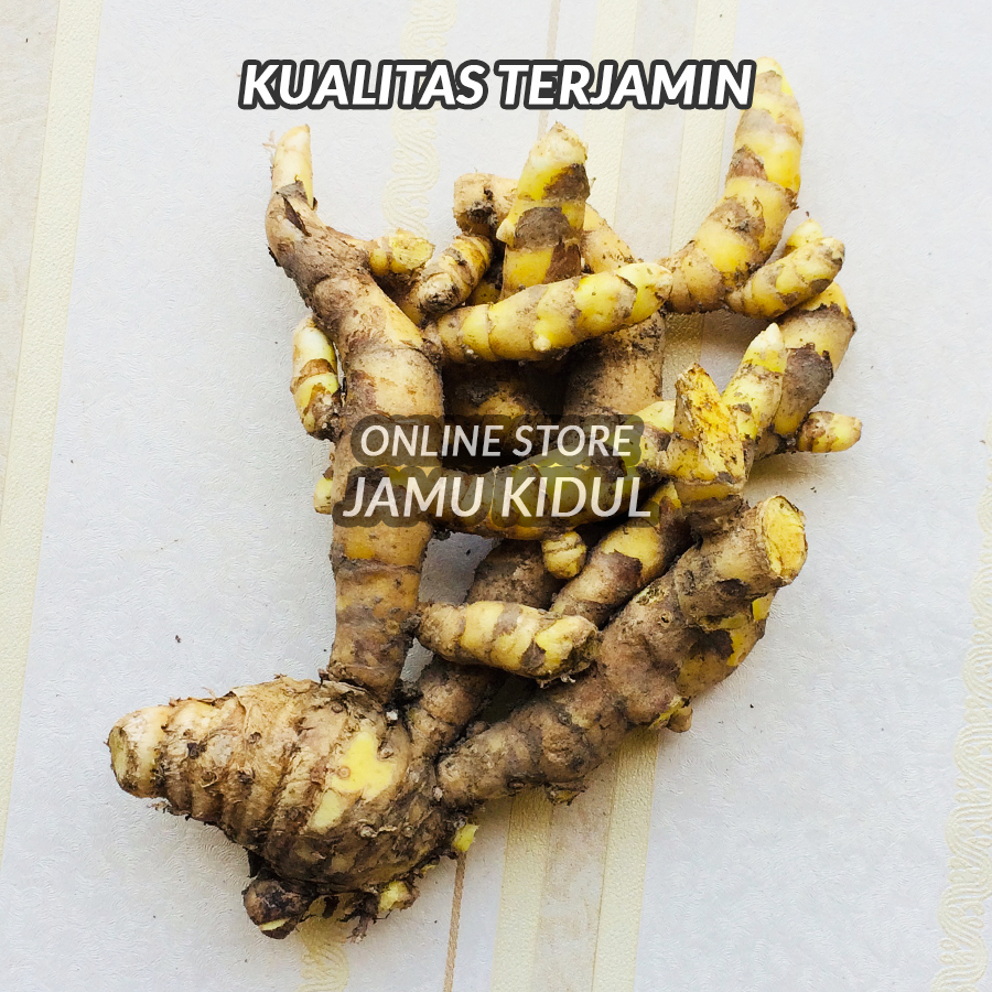 Jual Temu giring Segar 1kg /temu kuning (Curcuma heyneana) - Lulur ...