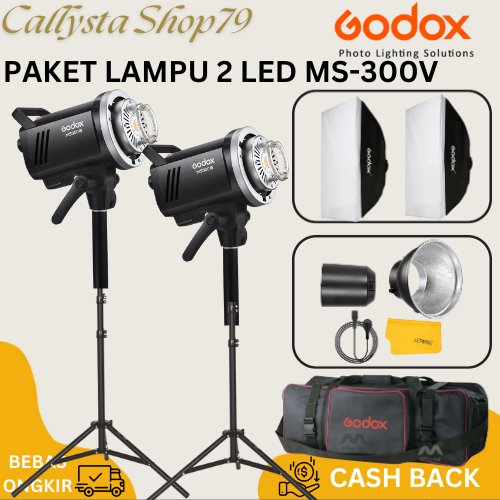 Jual GODOX MS-300V MS 300 PAKET LAMPU STUDIO FLASH MONOLIGHT | Shopee ...