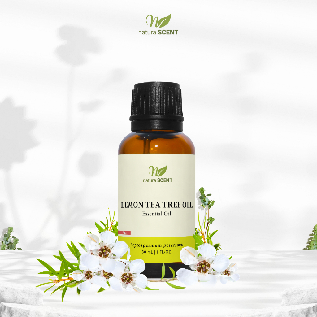 Jual Natura Scent Lemon Tea Tree Essential Oil 100% Alami dan Natural / Minyak Esensial Lemon ...
