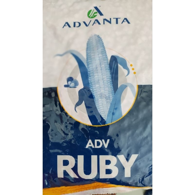 Jual ADVANTA - ADV RUBY - 1 Kg | Shopee Indonesia