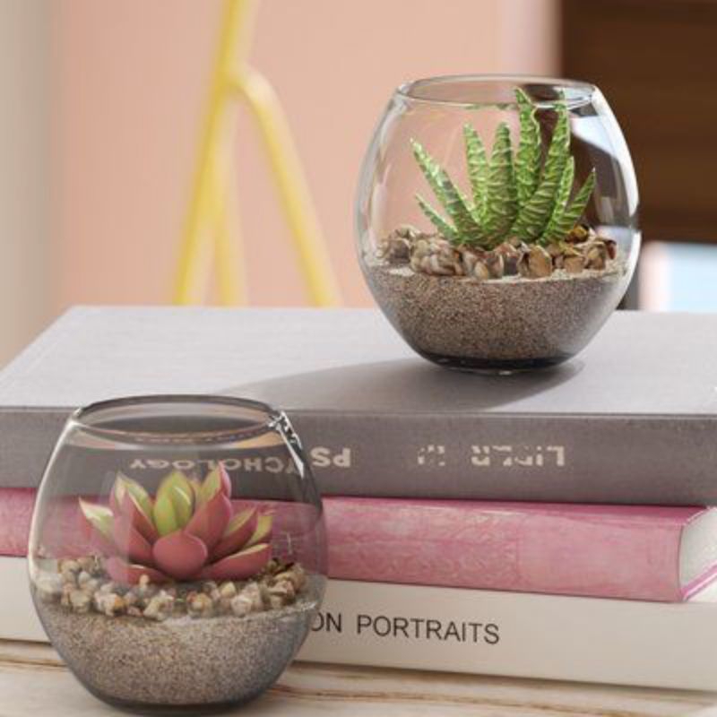 Jual Vas Bunga Kaca Bulat Toeskanie | Pot Kaca Terarium l Vas kaktus ...