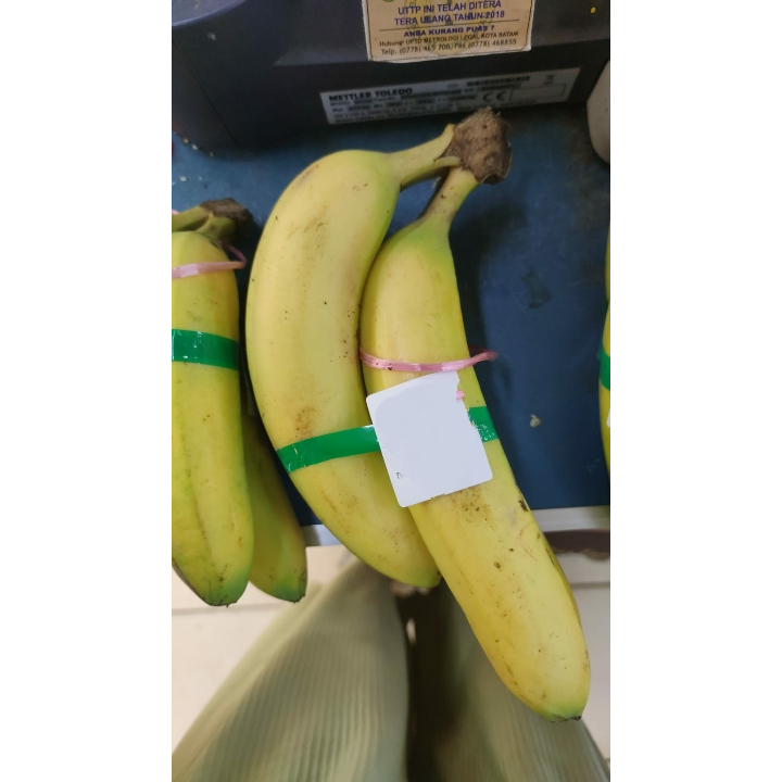 Jual PISANG SUNFRIDE/PISANG PER KG/ BUAH PISANG/ FRESH/BUAH SEGAR ...