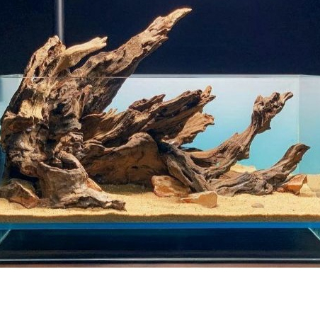 Jual KAYU RENTEK SIZE M DRIFTWOOD AQUASCAPE AQUARIUM | Shopee Indonesia