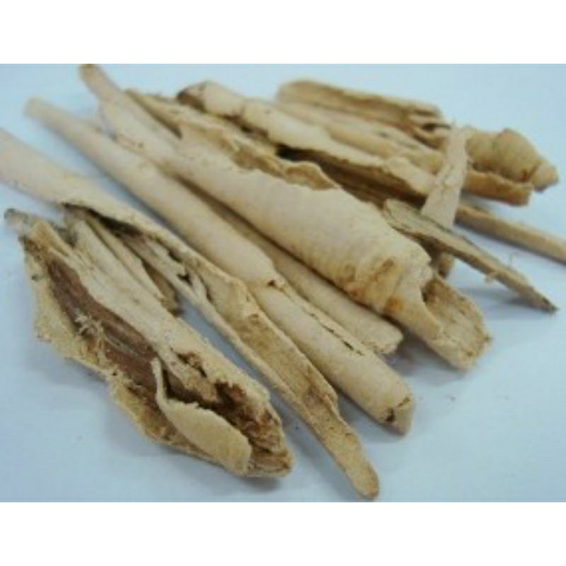 Jual Palasari Palasan Pulosari Kering 100gram | Shopee Indonesia