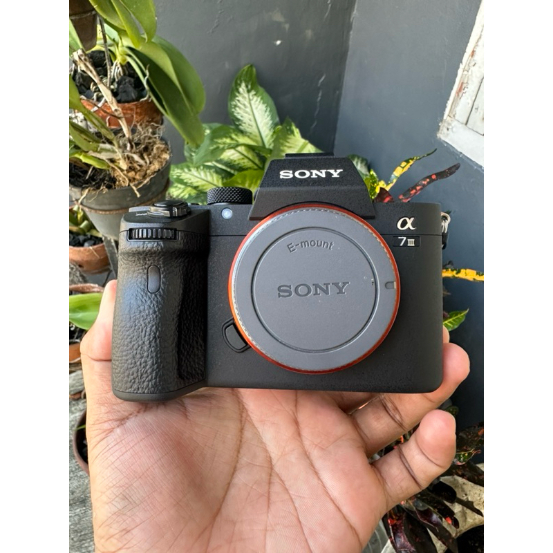 Jual Sony A7III Body only fullet box original like new | Shopee Indonesia