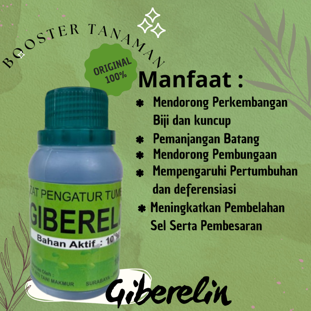 Jual Paket Lengkap Hormon Tanaman Auksin Giberelin Paclobutrazol - Zat ...