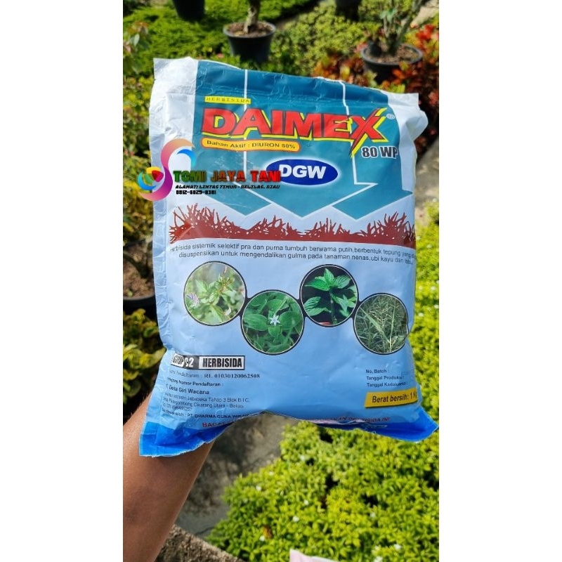 Jual DAIMEX DGW 80 WP 1 KG | Shopee Indonesia
