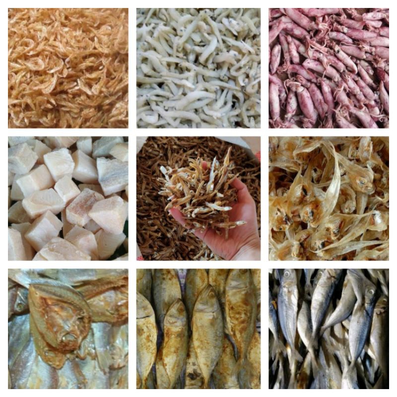 Jual Aneka Varian Ikan asin Teri Medan, Cumi Asin | Shopee Indonesia