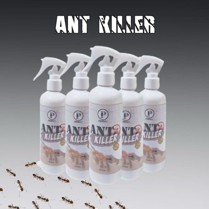 Jual Perfect Ant Killer Spray 250ML - Pembasmi Semut & Serangga Ampuh ...