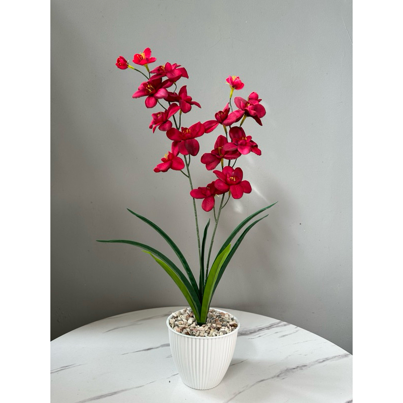 Jual BUNGA ARTIFICIAL ANGGREK CYMBIDIUM POT KERANG | Shopee Indonesia
