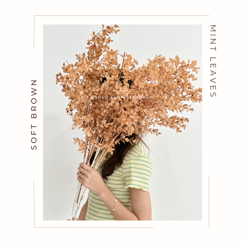 Jual MINT LEAVES HANGING GRASS DAUN JUNTAI Daun Misty X5 Artifisial ...