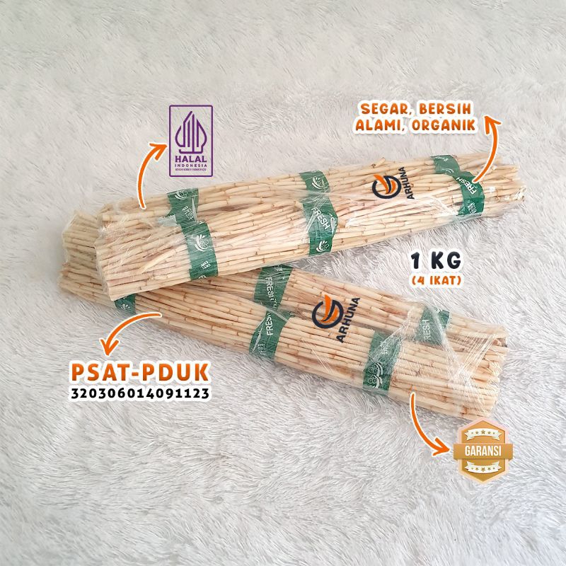 Jual Akar Alang alang Segar 1kg | Shopee Indonesia