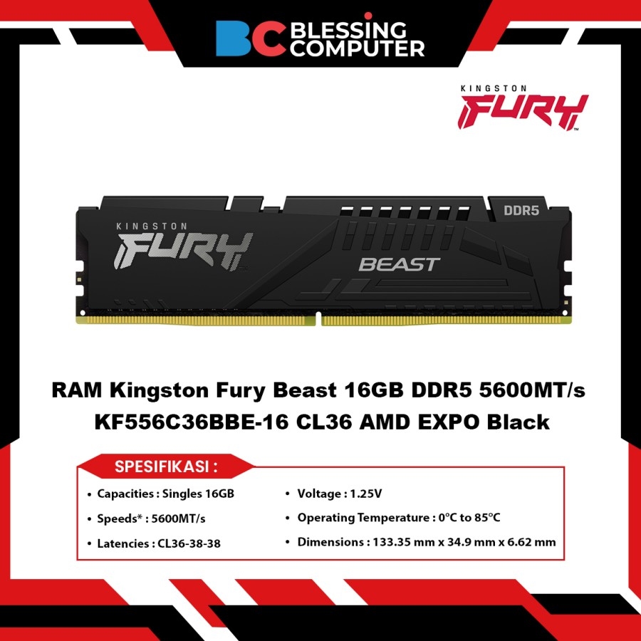 Jual RAM Kingston Fury Beast 16GB DDR5 5600MT/s KF556C36BBE-16 CL36 | Shopee Indonesia