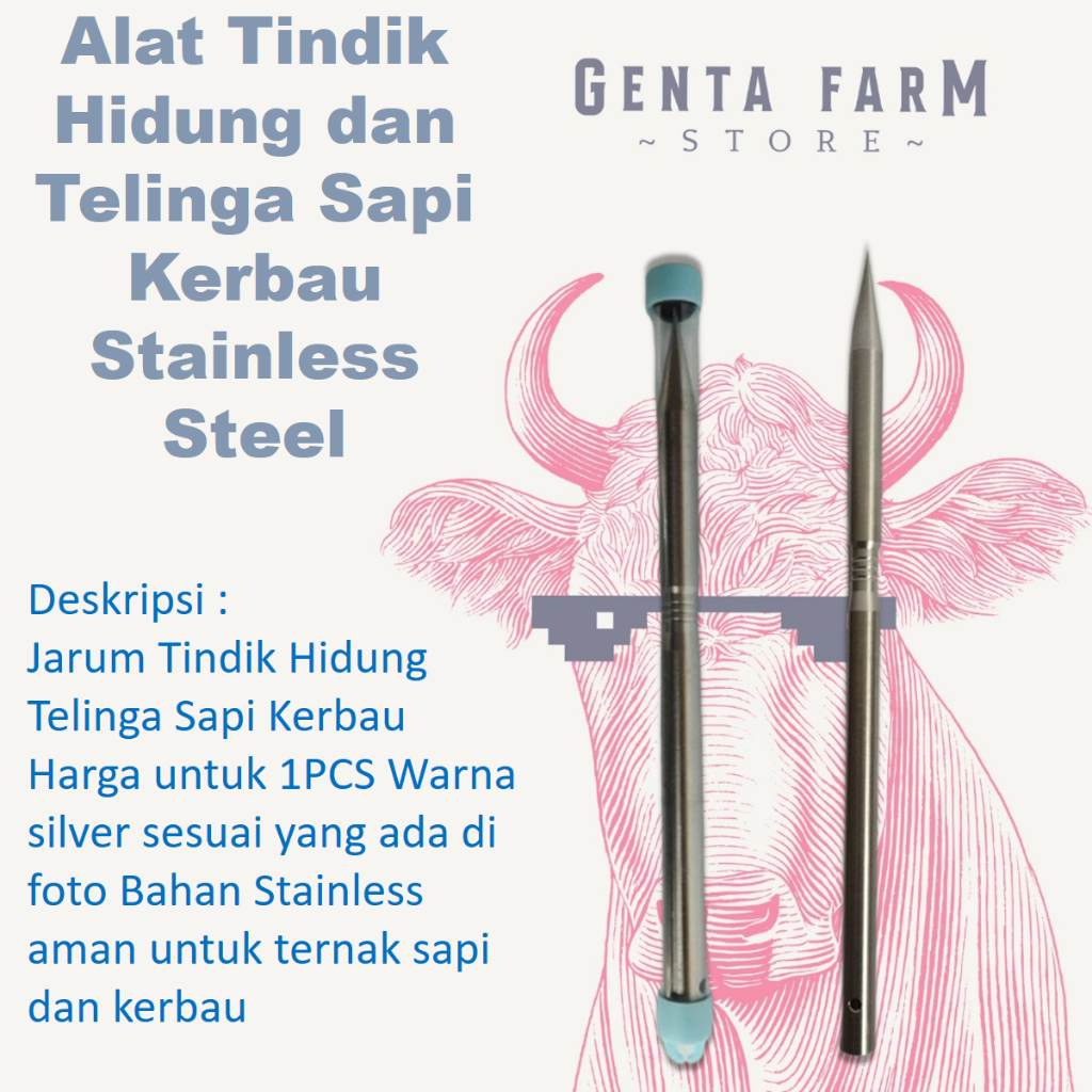 Jual Alat Tindik Keluh Hidung Sapi Kerbau Stainless Steel | Shopee ...