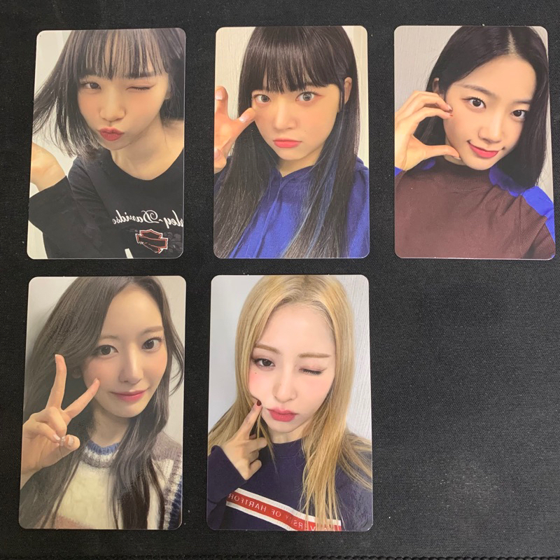 Jual Lesserafim memberkit Photocard Official | Shopee Indonesia