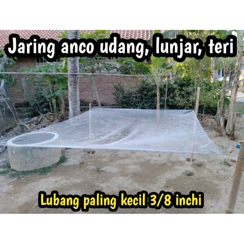 Jual Branjang udang / jaring anco udang ukuran 2×2,5 meter tangkul ikan ...
