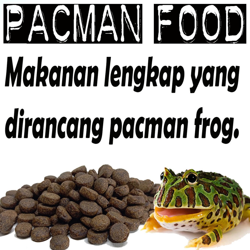 Jual 250GR PACMAN FOOD PELET MAKANAN KODOK KATAK PIXIE FROG REPTILE ...