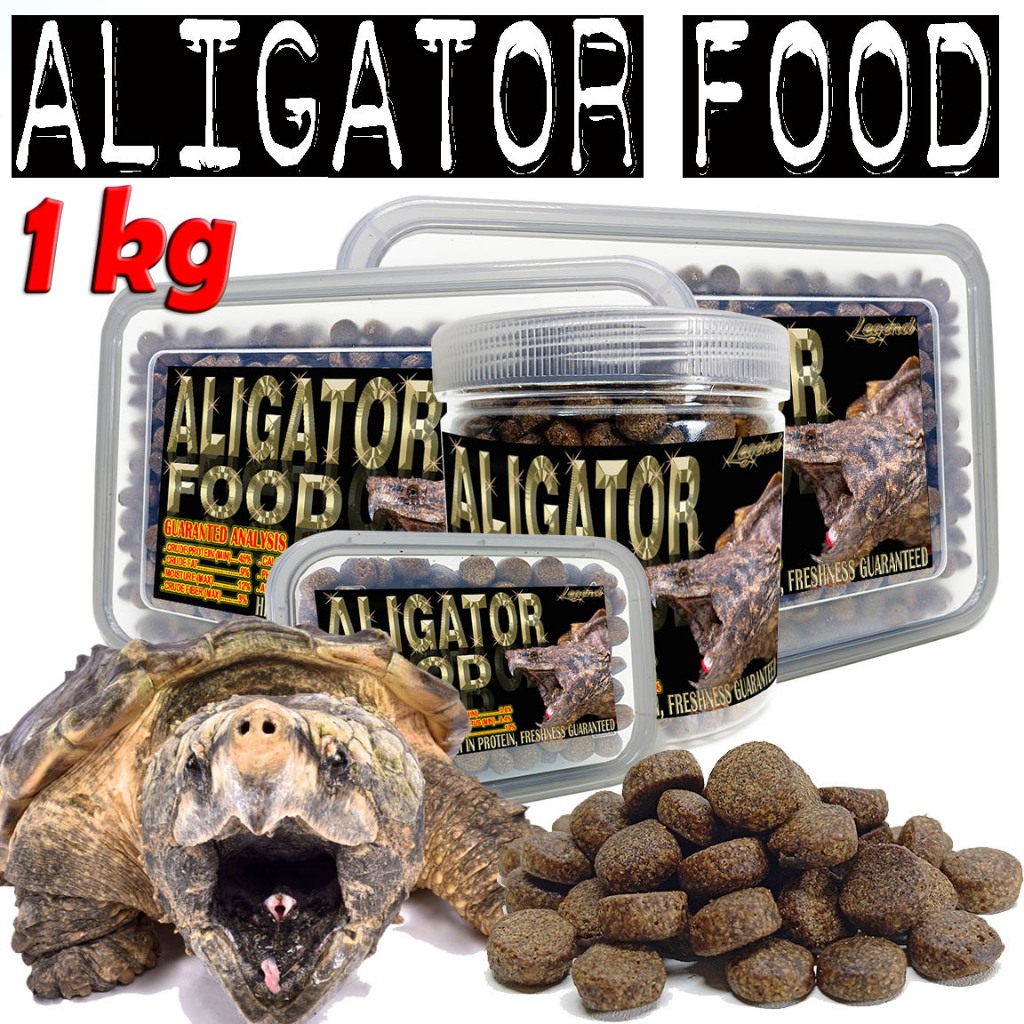 Jual 1KG ALIGATOR FOOD PAKAN PELET KURA AIR CST COMMON SNAPPING TURTLE ...