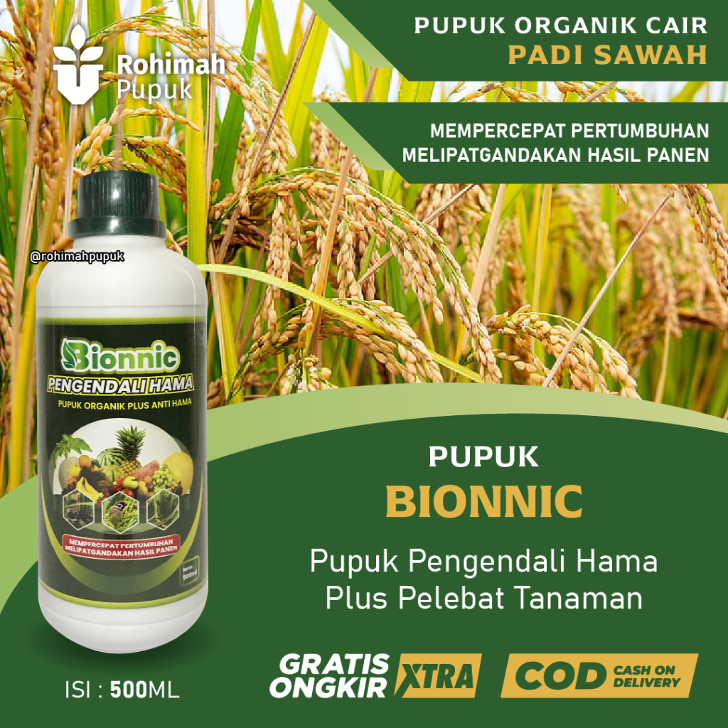 Jual Pupuk Semprot Bionnic TERJAMIN PADI LEBAT DAN 2 KALI HASIL PANEN ... Jual Pupuk Semprot Bionnic TERJAMIN PADI LEBAT DAN 2 KALI HASIL PANEN ...