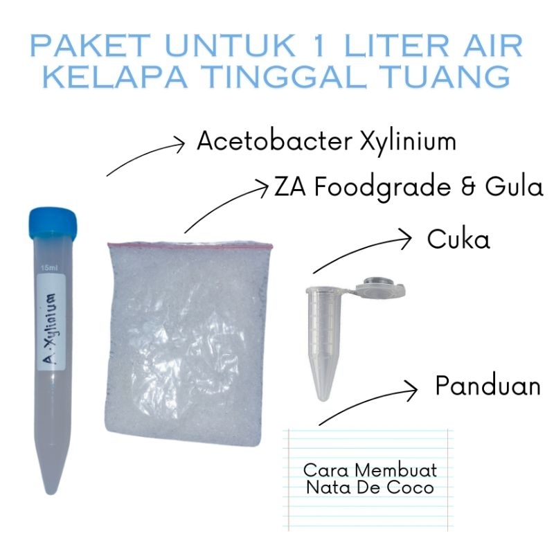 Jual Starter Nata De coco acetobacter Xylinium + ZA foodgrade + cuka ...