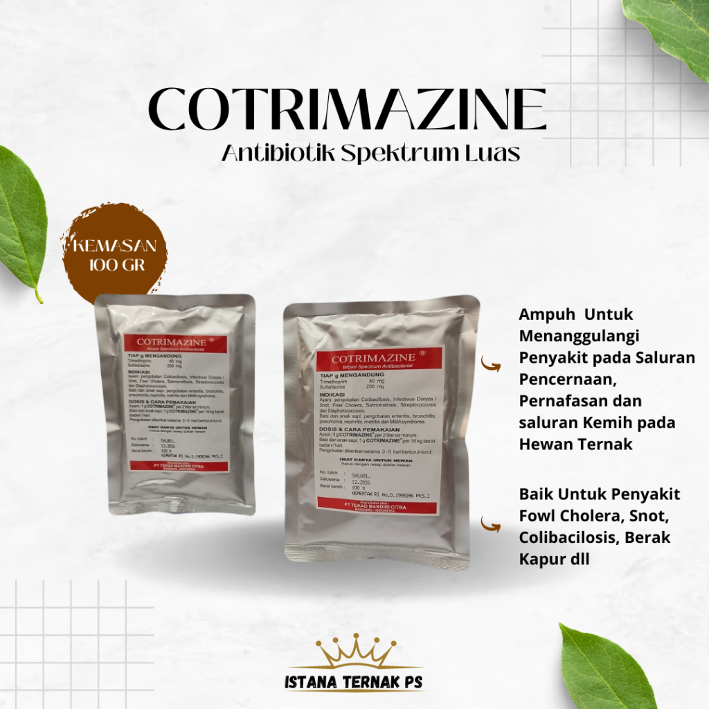 Jual Cotrimazine 100 gram. Antibiotik Spektrum Luas, Ampuh untuk Berak ...
