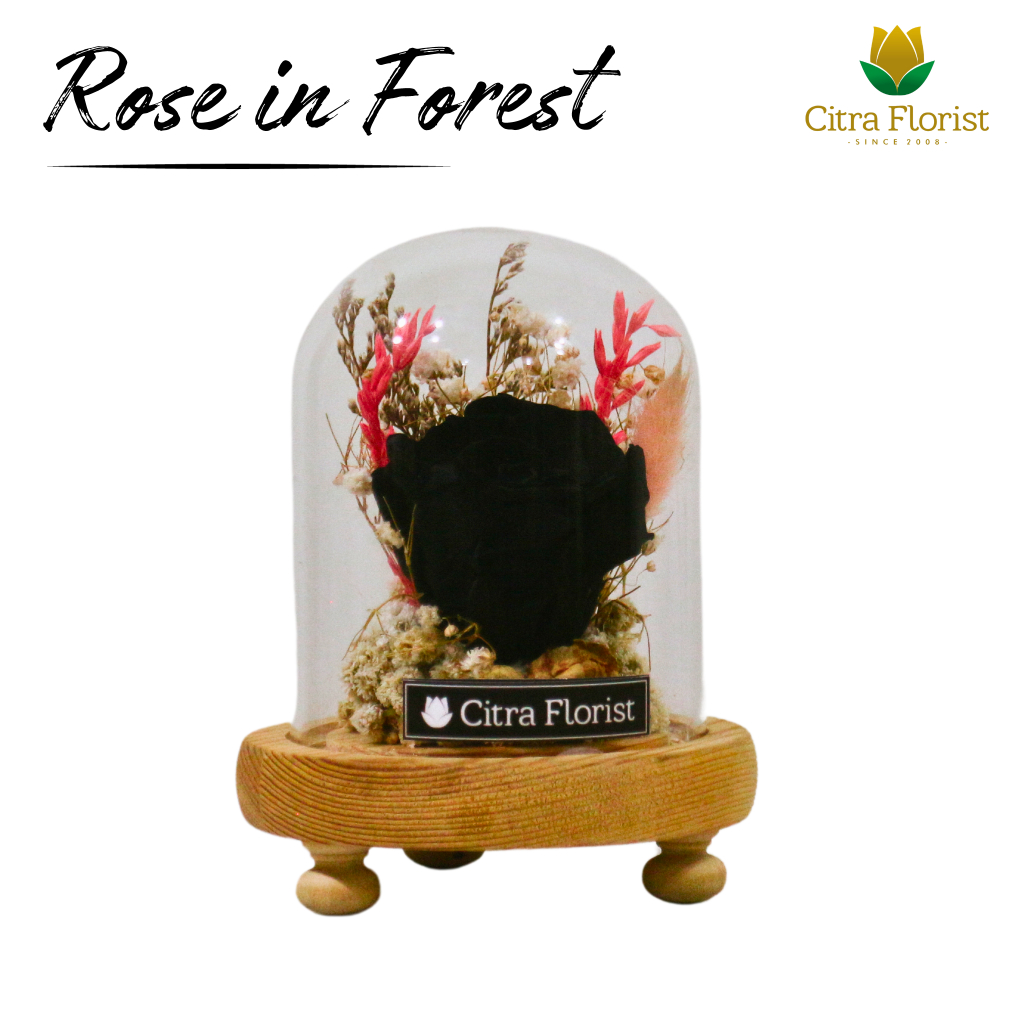 Jual Rose In Forest Dome (Light) - Dried Flower Bunga Kering dalam Dome ...