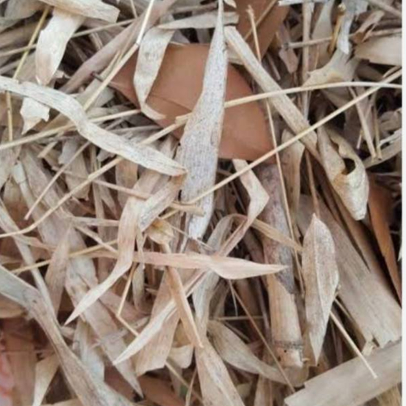Jual daun bambu kering kemasan 1kg untuk media tanam siap pakai ...
