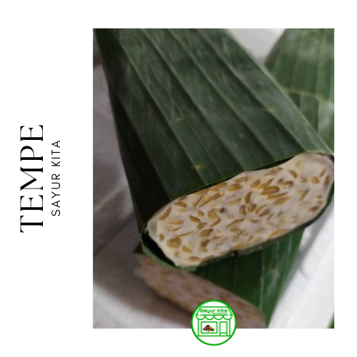 Jual Tempe 600 gram | Shopee Indonesia
