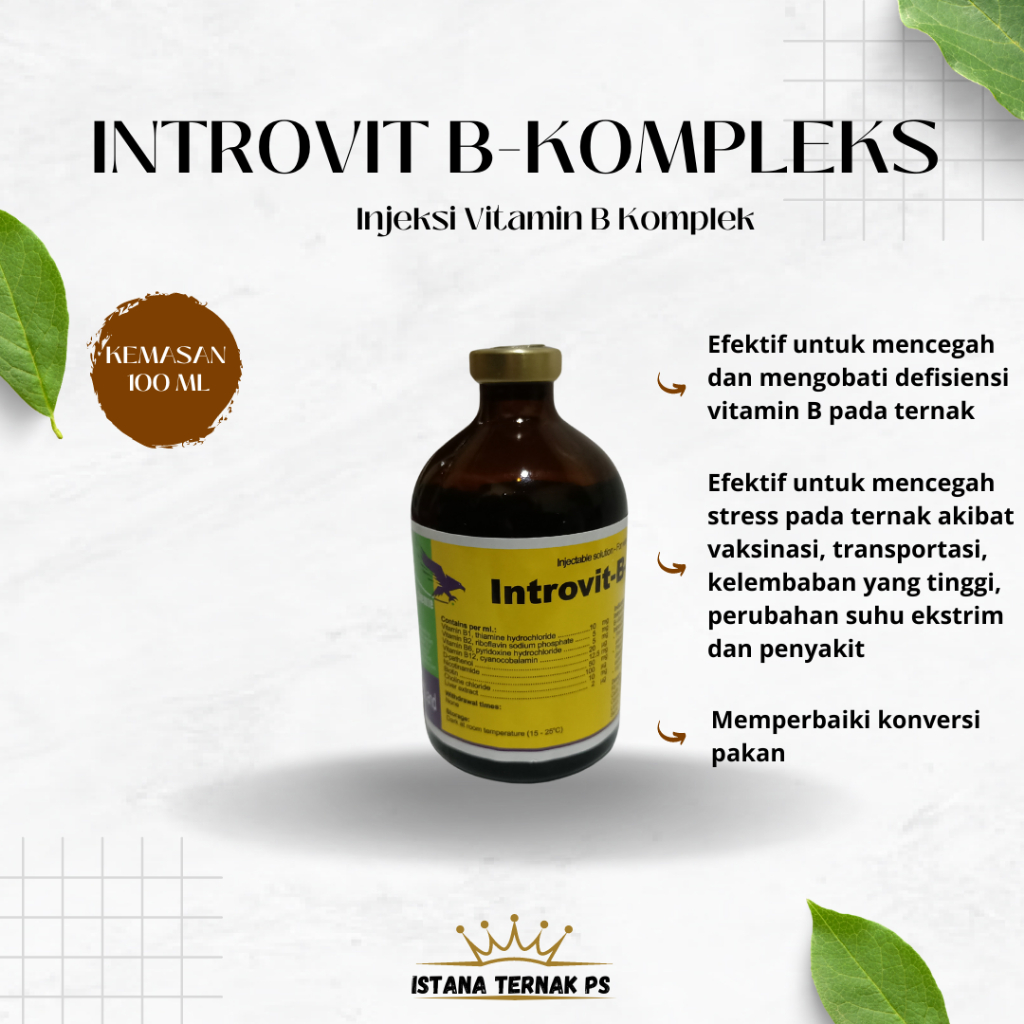Jual Introvit B Complex 100 ml. Vitamin B kompleks untuk Ternak ...