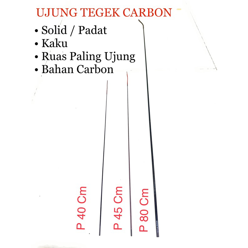 Jual Ujung Tegek Carbon Solid Ruas Pendek dan Panjang 40 45 80 Cm | Shopee Indonesia