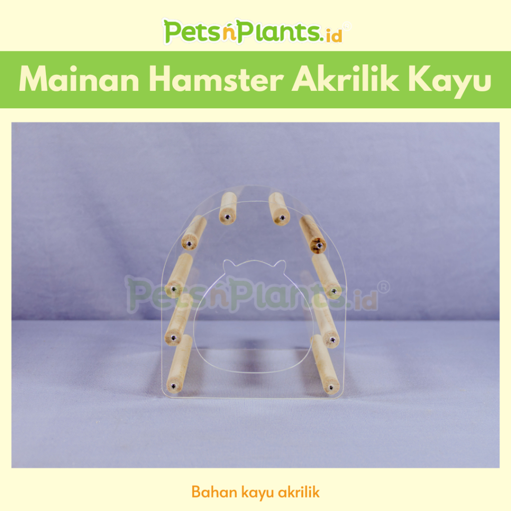 Jual Mainan Gigitan Hamster Akrilik Crystal Clear Kayu Natural Wood ...