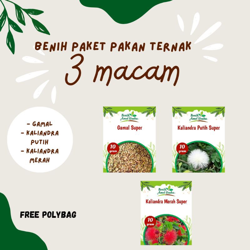 Jual Paket pakan ternak 3 macam/benih pakan ternak Gamal super/benih ...