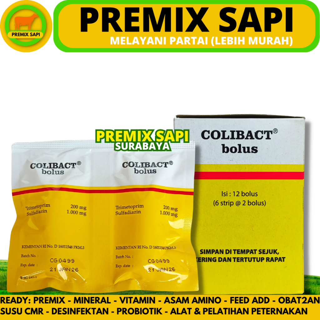 Jual COLIBACT BOLUS 1 DUS 12 BOLUS - Obat Infeksi Pencernaan dan ...