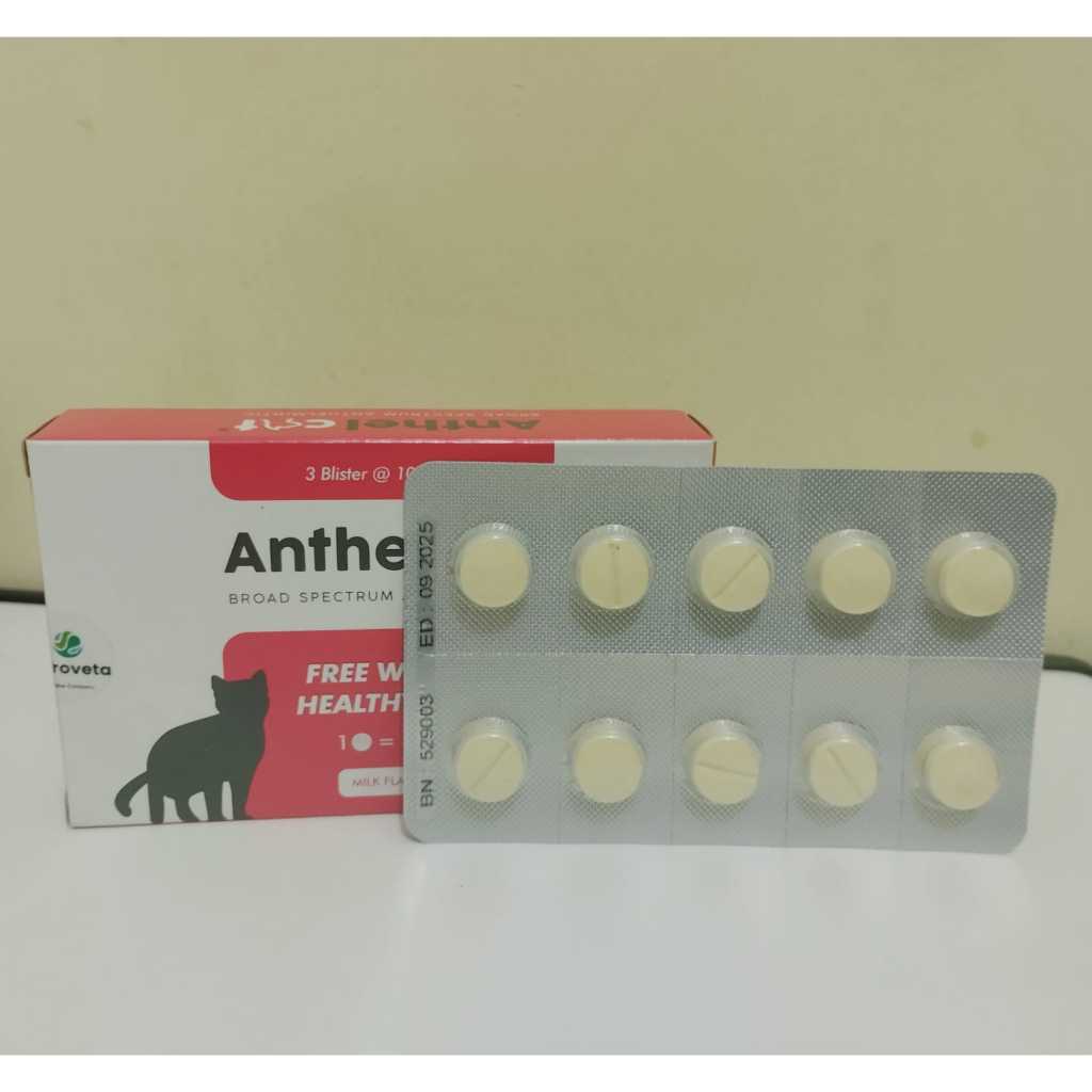 Jual ANTHEL CAT OBAT CACING KUCING - 1 TABLET | Shopee Indonesia
