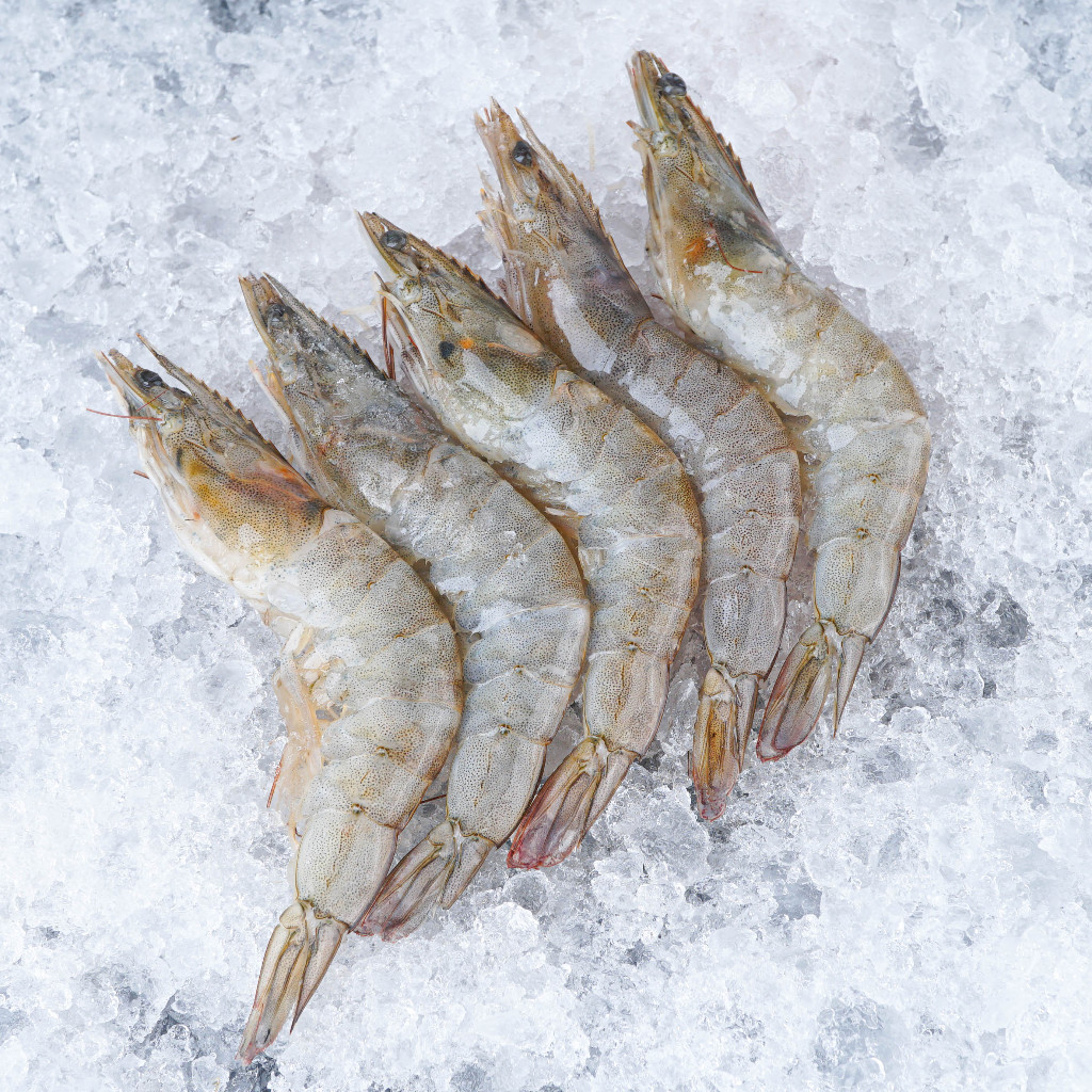 Jual Udang Fresh / Segar Besar ukuran 40 berat 1kg Praktis - Individual ...