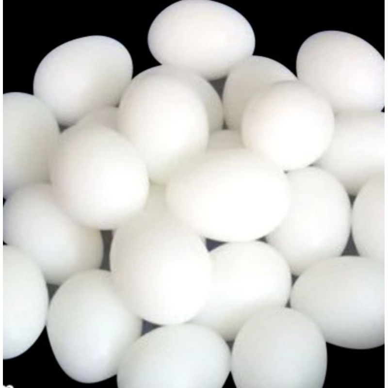 Jual 2 BUTIR TELUR PALSU TELOR PANCINGAN BURUNG MERPATI MENGERAM DUMMY ...