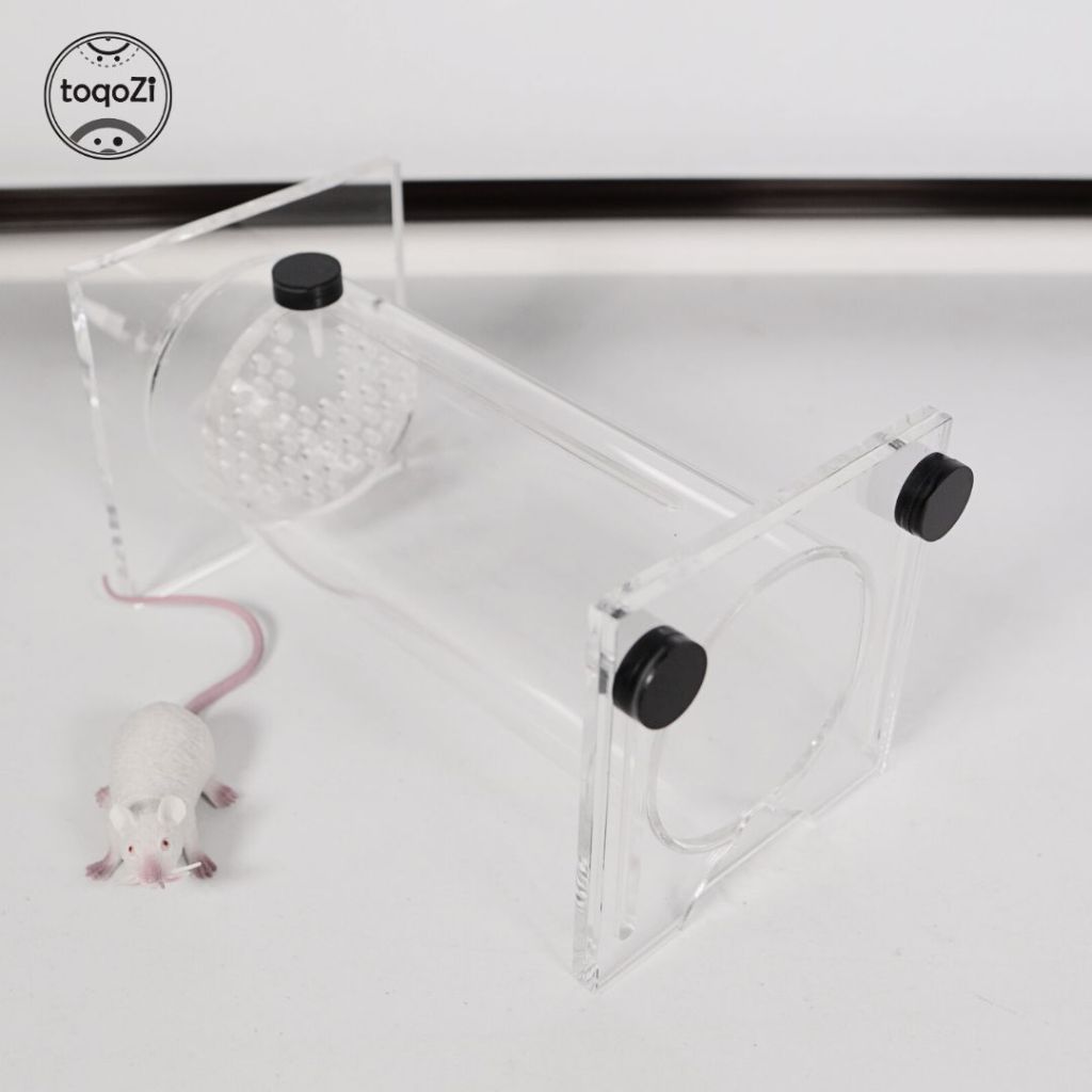 Jual RAT MOUSE RESTRAINER (KHUSUS TIKUS HAMIL) | Shopee Indonesia