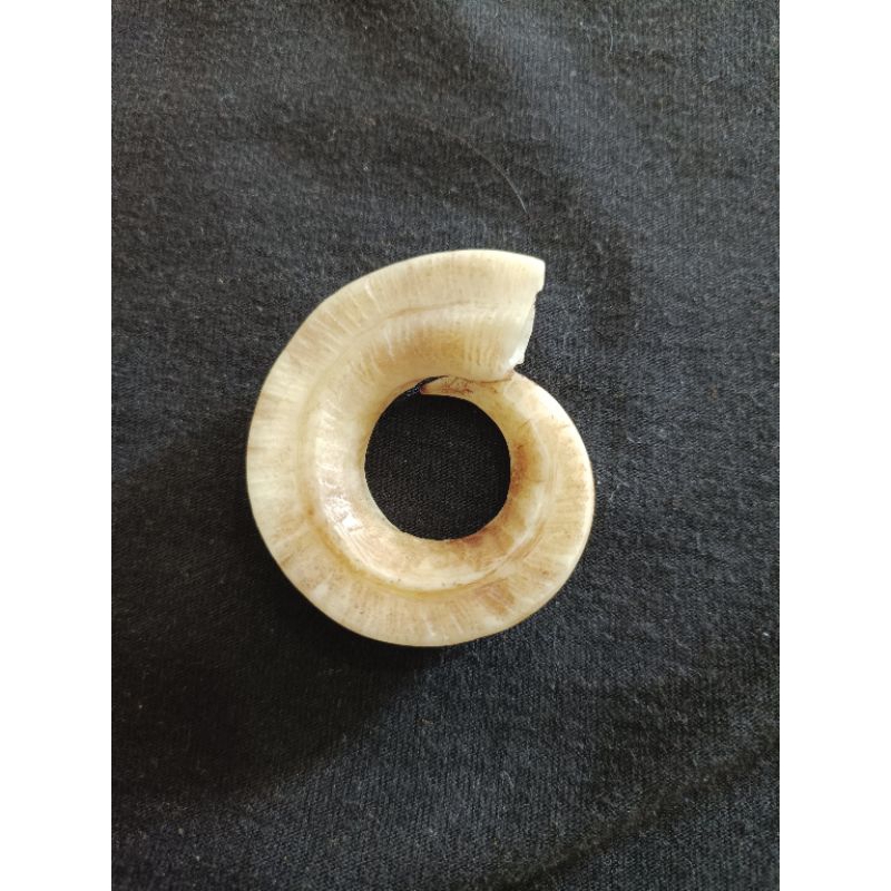 Jual tarbi unik | Shopee Indonesia