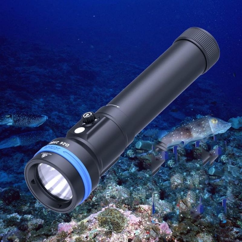 Jual Xtar Senter Diving LED CREE XHP50.2 2500 Lumens IPX8 Long Version ...