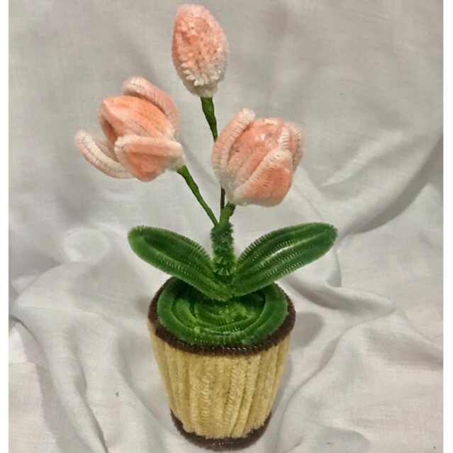 Jual mini tulip pot (pipe cleaner) | Shopee Indonesia