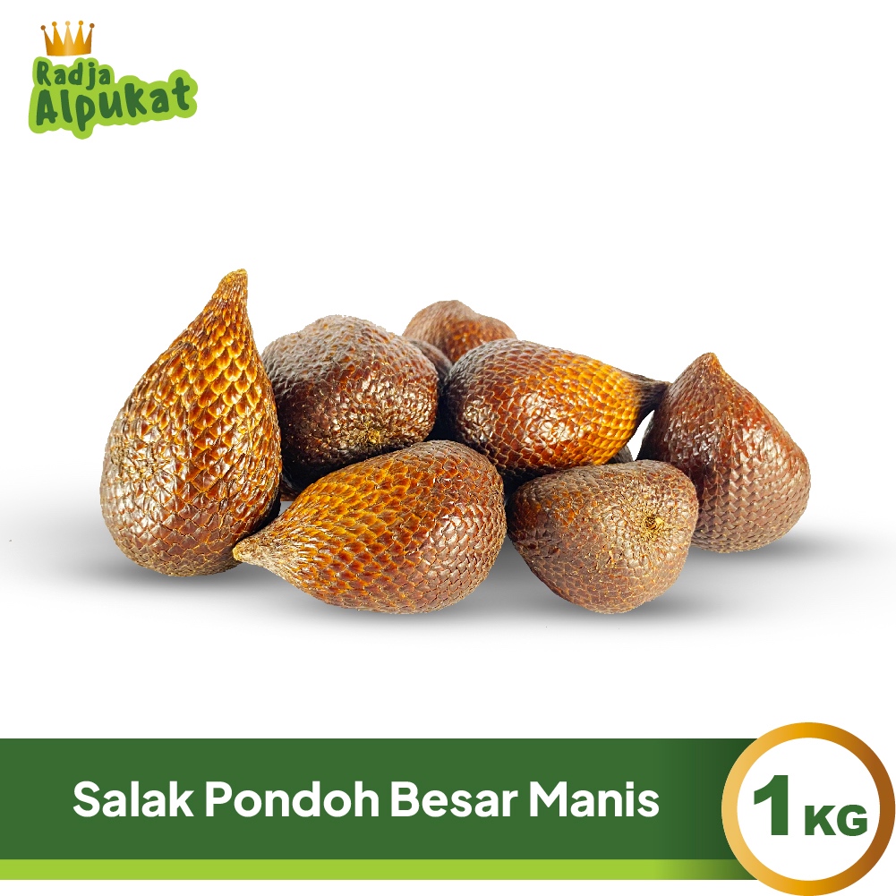 Jual Salak Pondoh Besar dan Manis - 1KG | Shopee Indonesia
