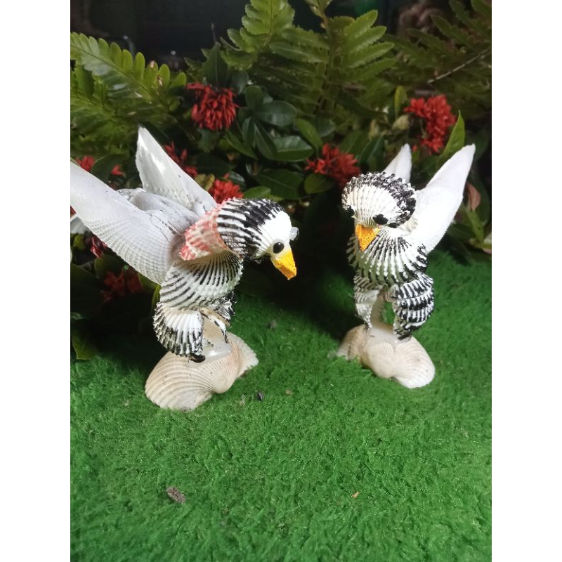 Jual ELANG JAWA PUTIH/ kerajinan tangan dari cangkang kerang | Shopee ...