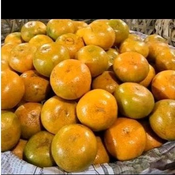 Jual Jeruk medan brastagi | Shopee Indonesia